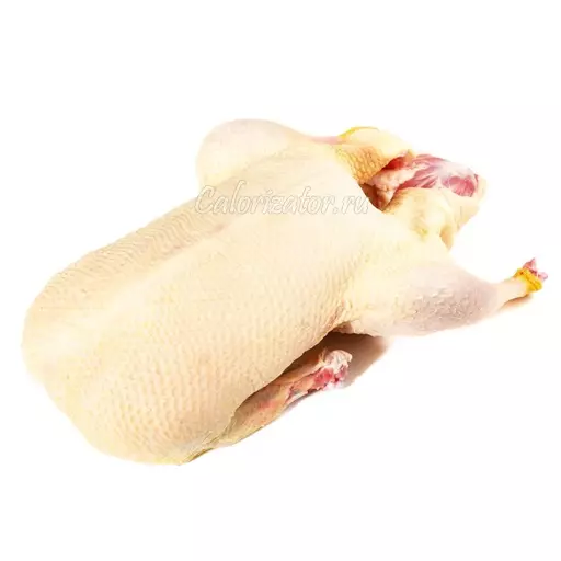 Indoant (musky duck) - calorie, beneficial properties, benefits and harm, description