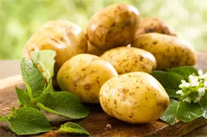 Ko pagatavot no jauniem kartupeļiem