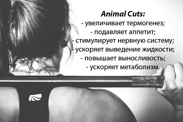 Animal Cuts.