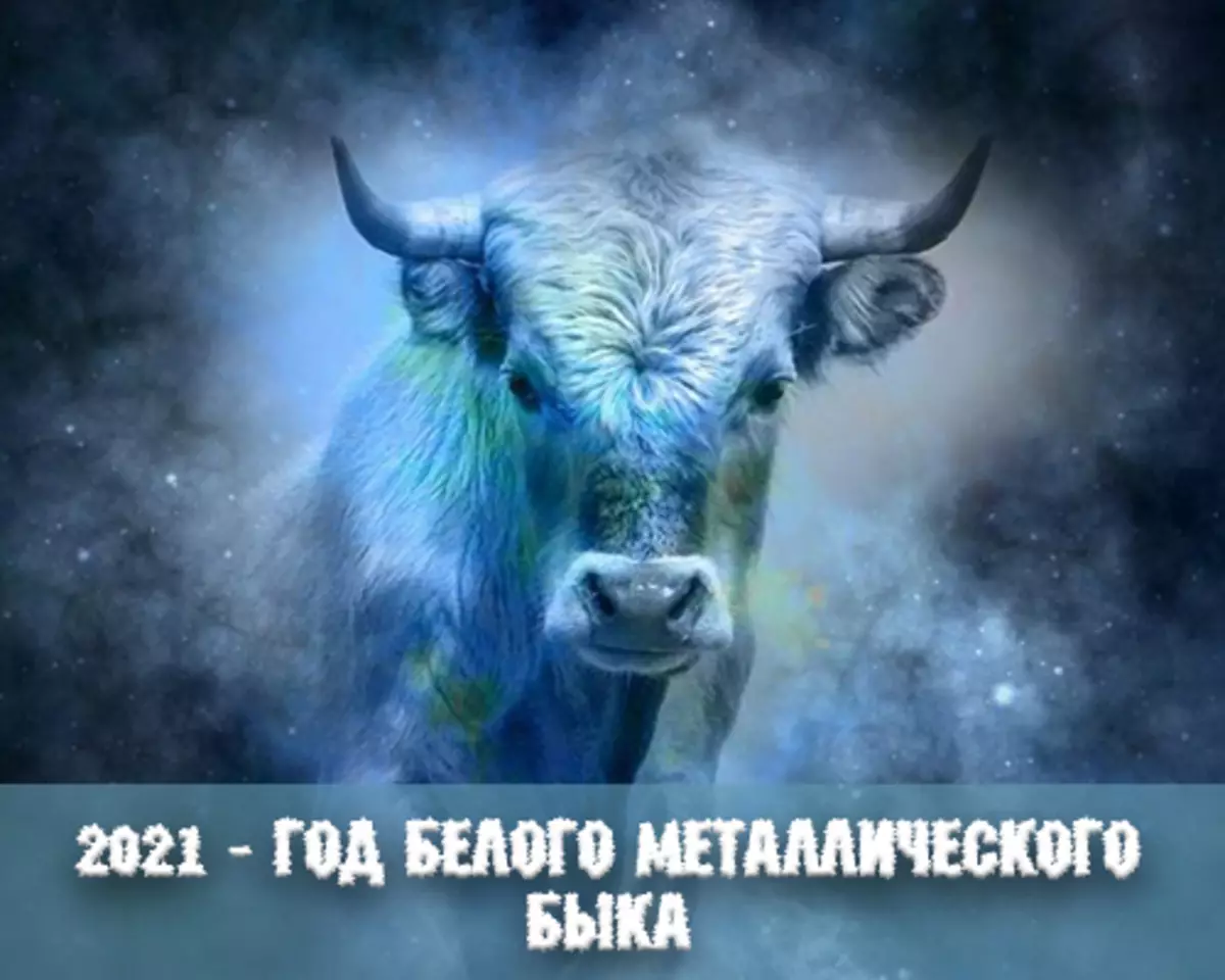 Rok Bieleho kovu Bull (2021)