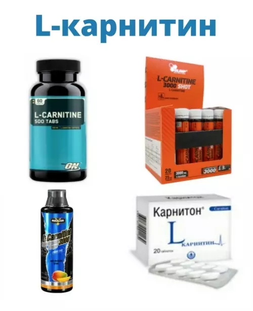 L-karnitin