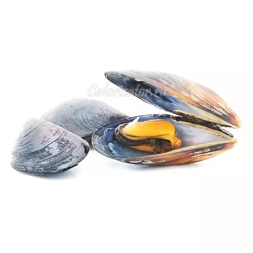 mussels ပြုတ်နေကြသည်