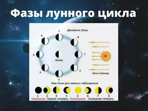 L'efecte de l'cicle lunar en el cos