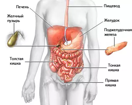 Gorputza etxean garbitzen