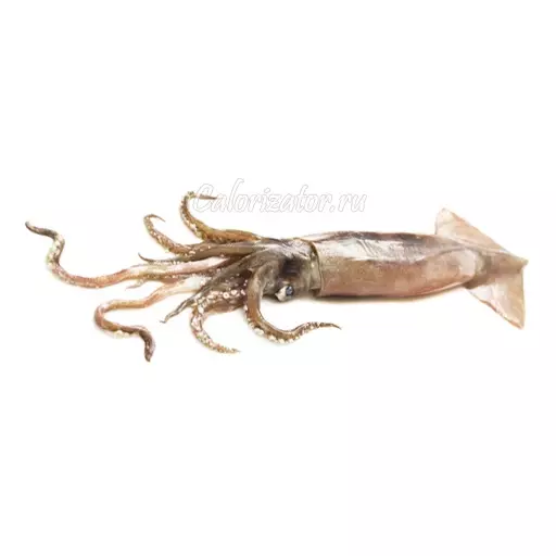 yangi Squid