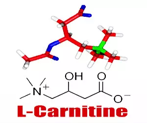 Formula Karnitine