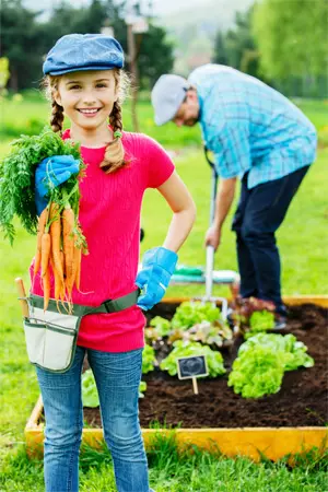 Produk yang berguna ditanam di taman dan taman mereka sendiri