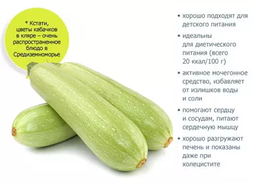 Penggunaan zucchini.