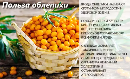 Tiwqn ati awọn ohun-ini anfani ti buckthorn okun