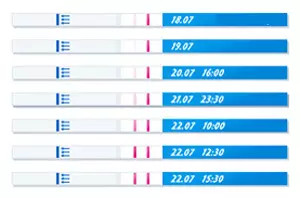 Hnub twg koj tuaj yeem cev xeeb tub - ovulation kev ntsuas