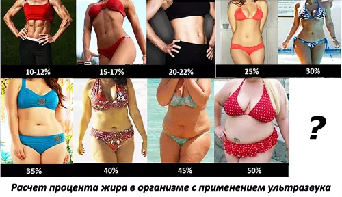 Berekening van een percentage vet in het lichaam in de afbeelding (visueel)