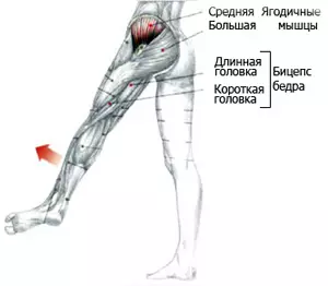 Көнүгүүлөрдү колдонуу - Махи буту - Баарына, башталгычка, башкыга чейин кожоюнага сунушталат