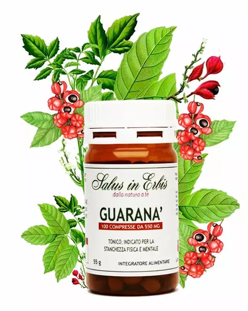 Guarana xüsusiyyətləri