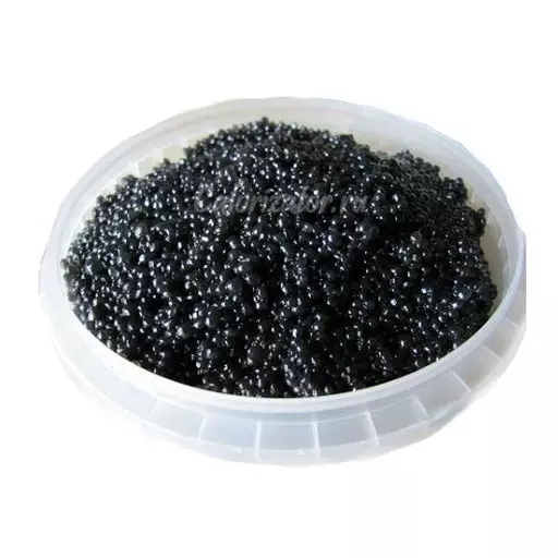 Halus caviar