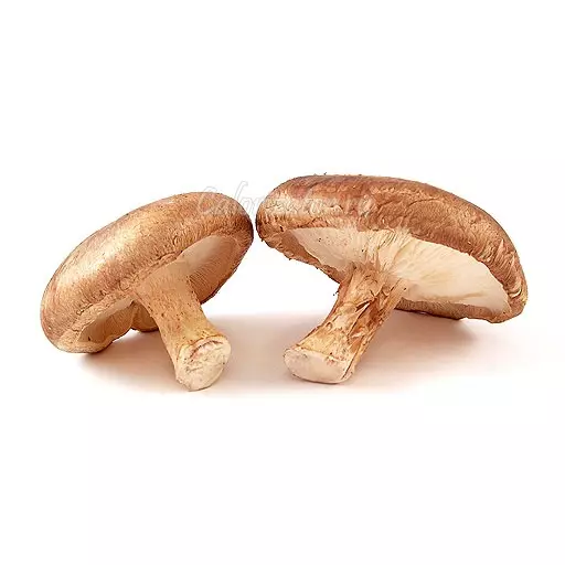 Shiitake nyowani