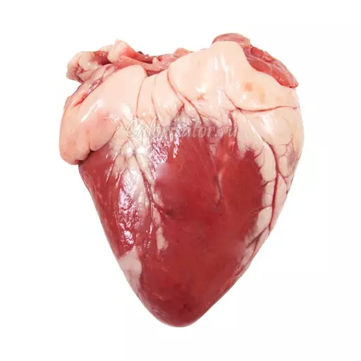 Baraman hjärta - kalori, användbara egenskaper, fördelar och skada, beskrivning