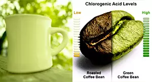 Perdre du poids avec du café vert