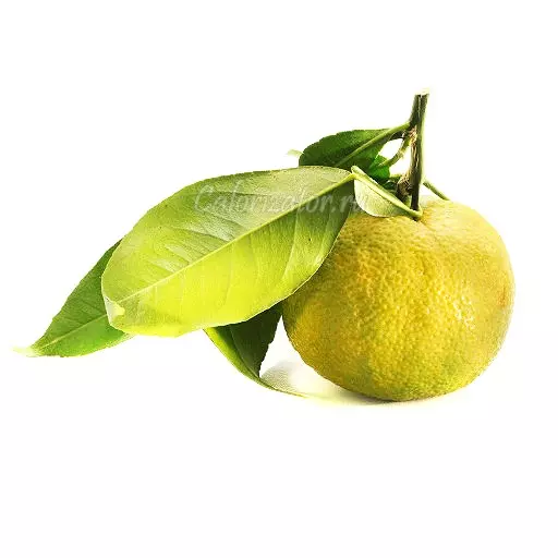 Japanische Zitrone (Yuzu)