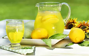 Лимонада моноде (лимон, лимонада) - слабеење на модна исхрана