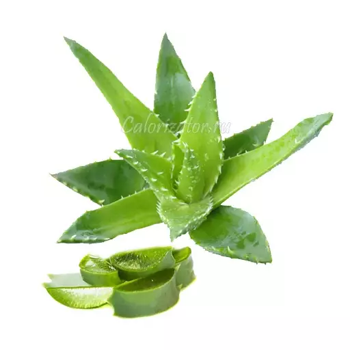 Aloe epupụta