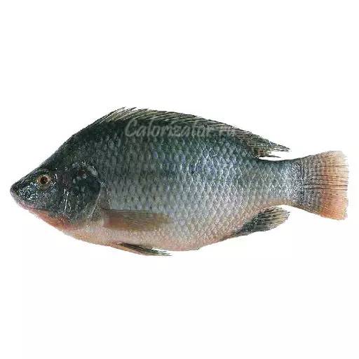 Tyalalapia.