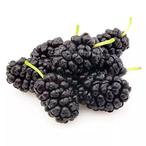 Muelberry - Calorie, Propiedades Beneficiales, Beneficios y Daños, Descripción