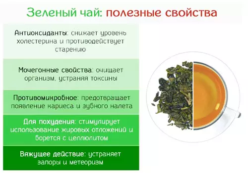 Composição e propriedades benéficas do chá seco verde