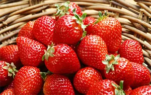 Strawberry monodiree