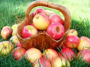 Разтоварване ден на ябълки (ябълки и вода) - отслабване на модна диета