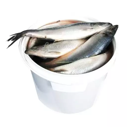I-herring enosawoti