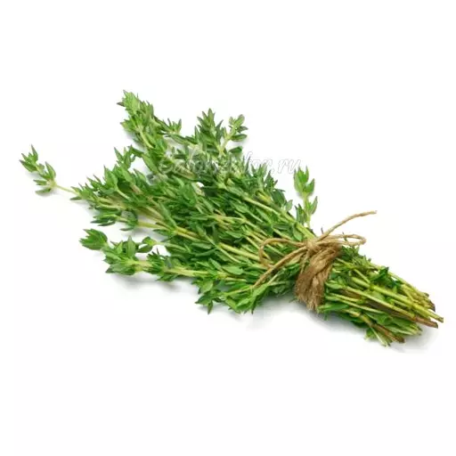 Thyme (chabret)