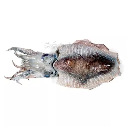 Cuttlefish